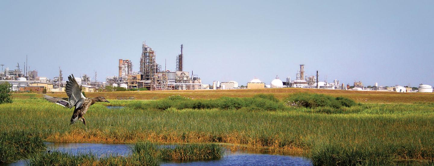 Invista's Victoria, TX plant sitting in wetlands